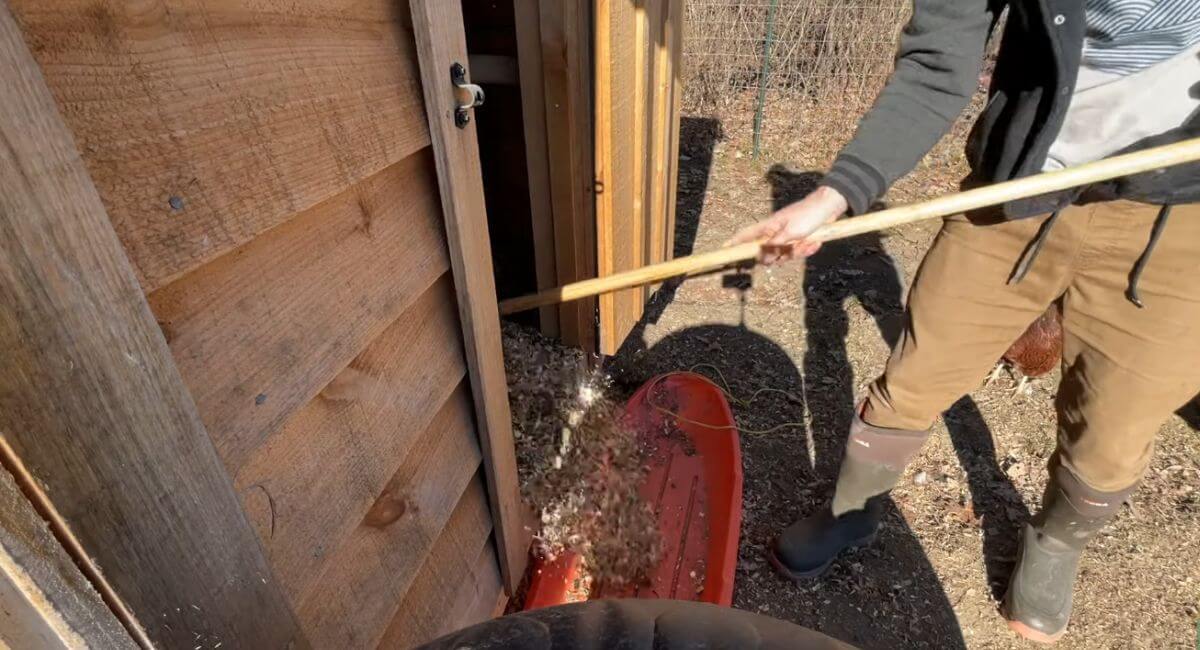 How to Clean a Chicken Coop: A Step-by-Step Guide - Chicken Coop Shop