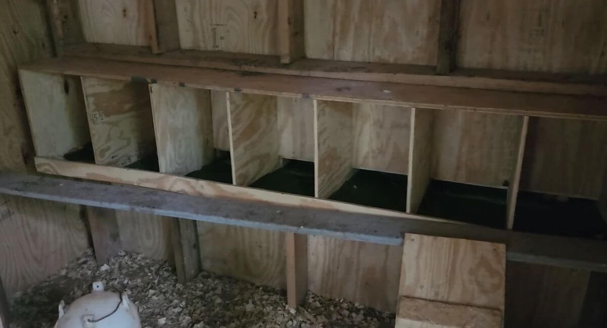 How to Build Chicken Nesting Boxes: Step-by-Step Guide - Chicken Coop Shop