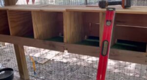 The Best Chicken Nesting Box Size for Happy, Healthy Hens